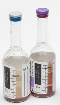 CULTURE-D-BOTTLES_solo - Kurin